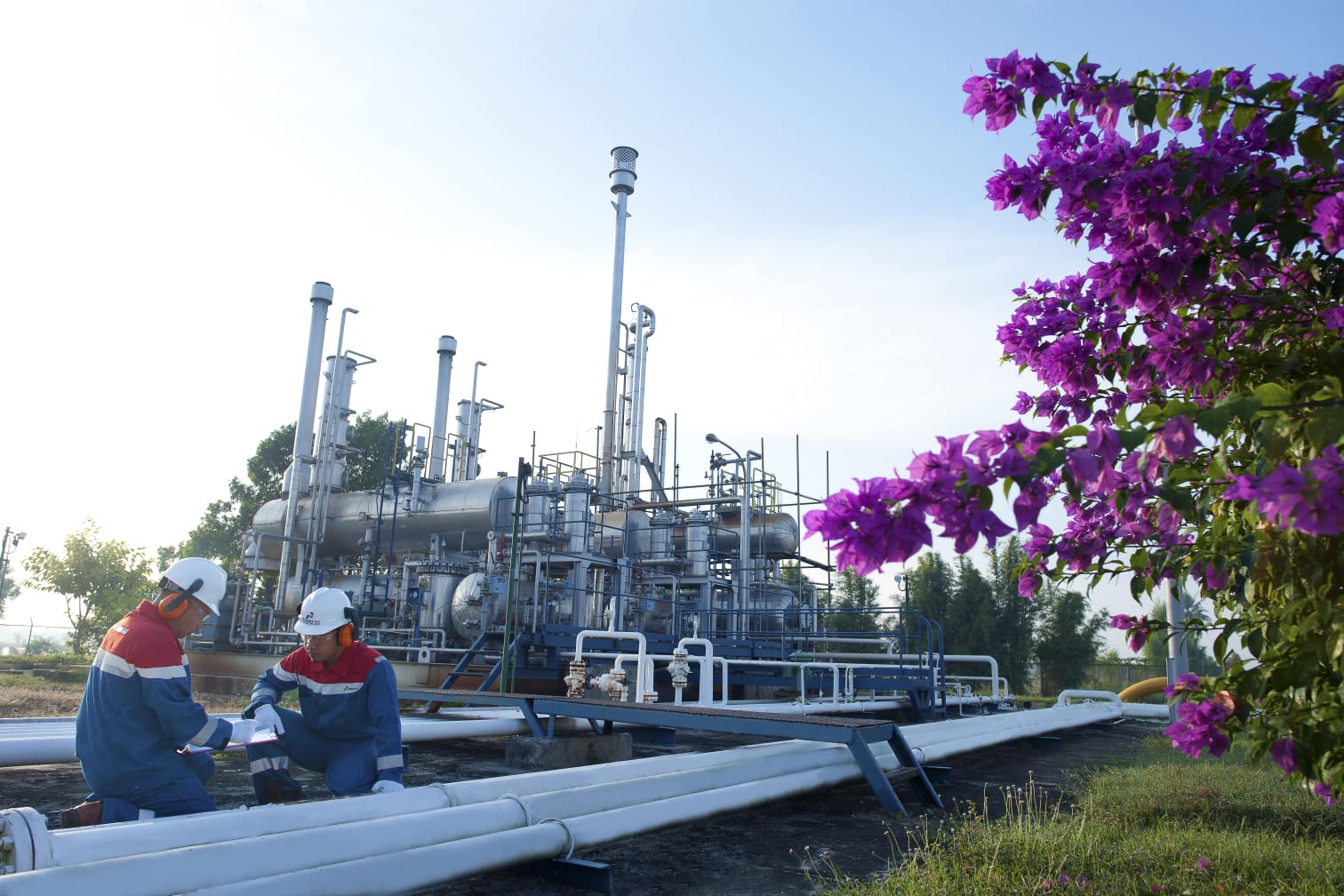 Pertamina Pasang PRESSMON BALI, Pipa BBM Balongan–Jakarta Kini Dipantau ...