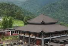 Prabowo Gibran Komitmen Berantas Stunting Melalui Pembagian Susu dan ...